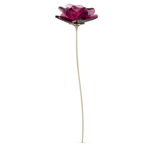 SWAROVSKI — Time After Time