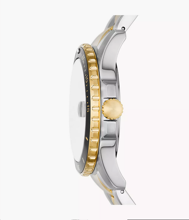 Fossil Blue Dive Three-Hand Date Two-Tone Stainless Steel Watch FS6031 ...